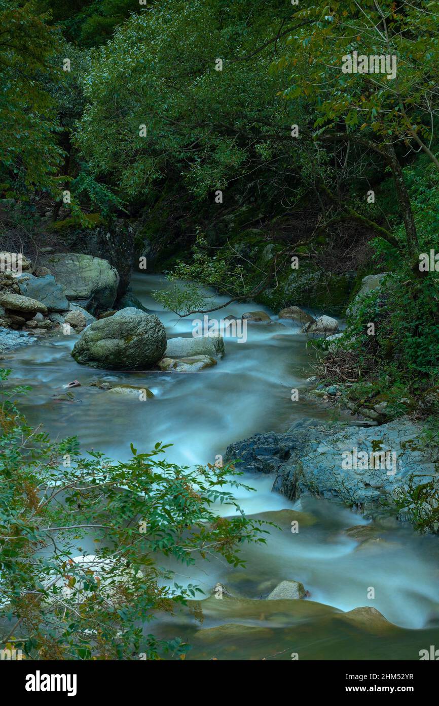 Mountain forest in the river Stock Photo - Alamy