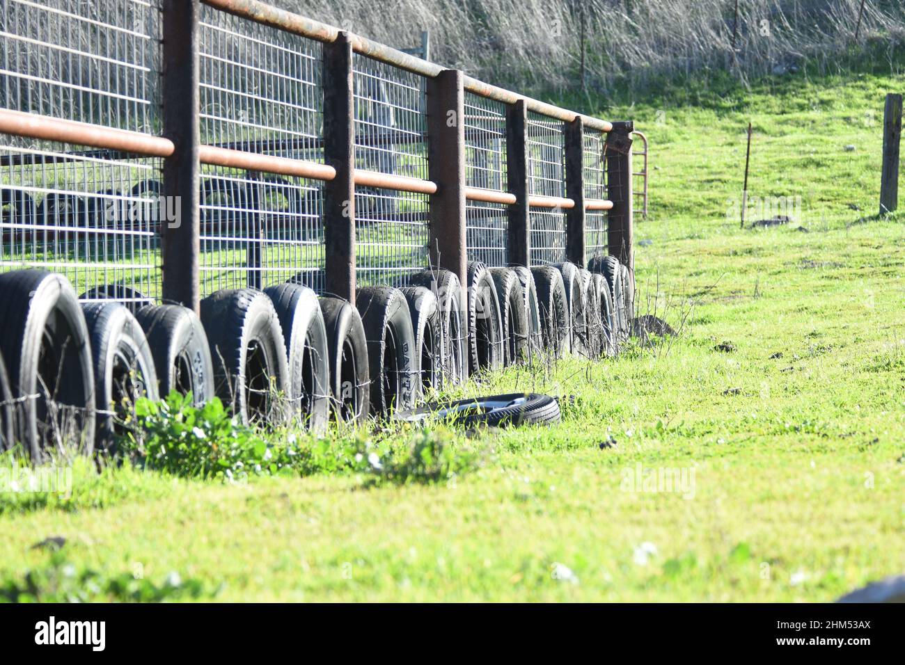 Cattle fencing on ranch made from Oil pumping pipe and old worn tires ...