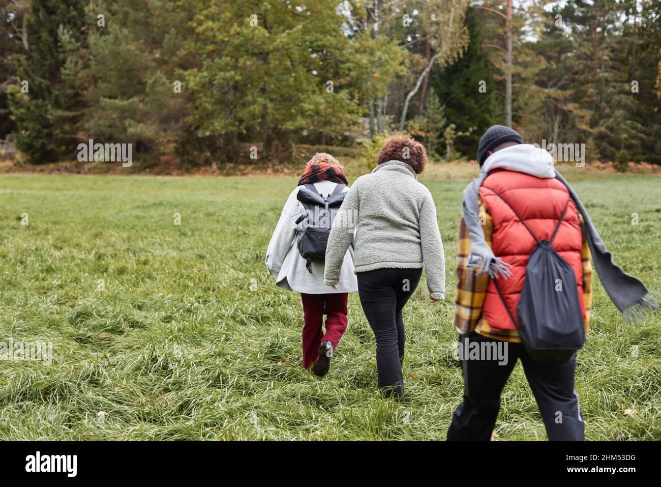 Group of friends walking through meadow Stock Photo - Alamy