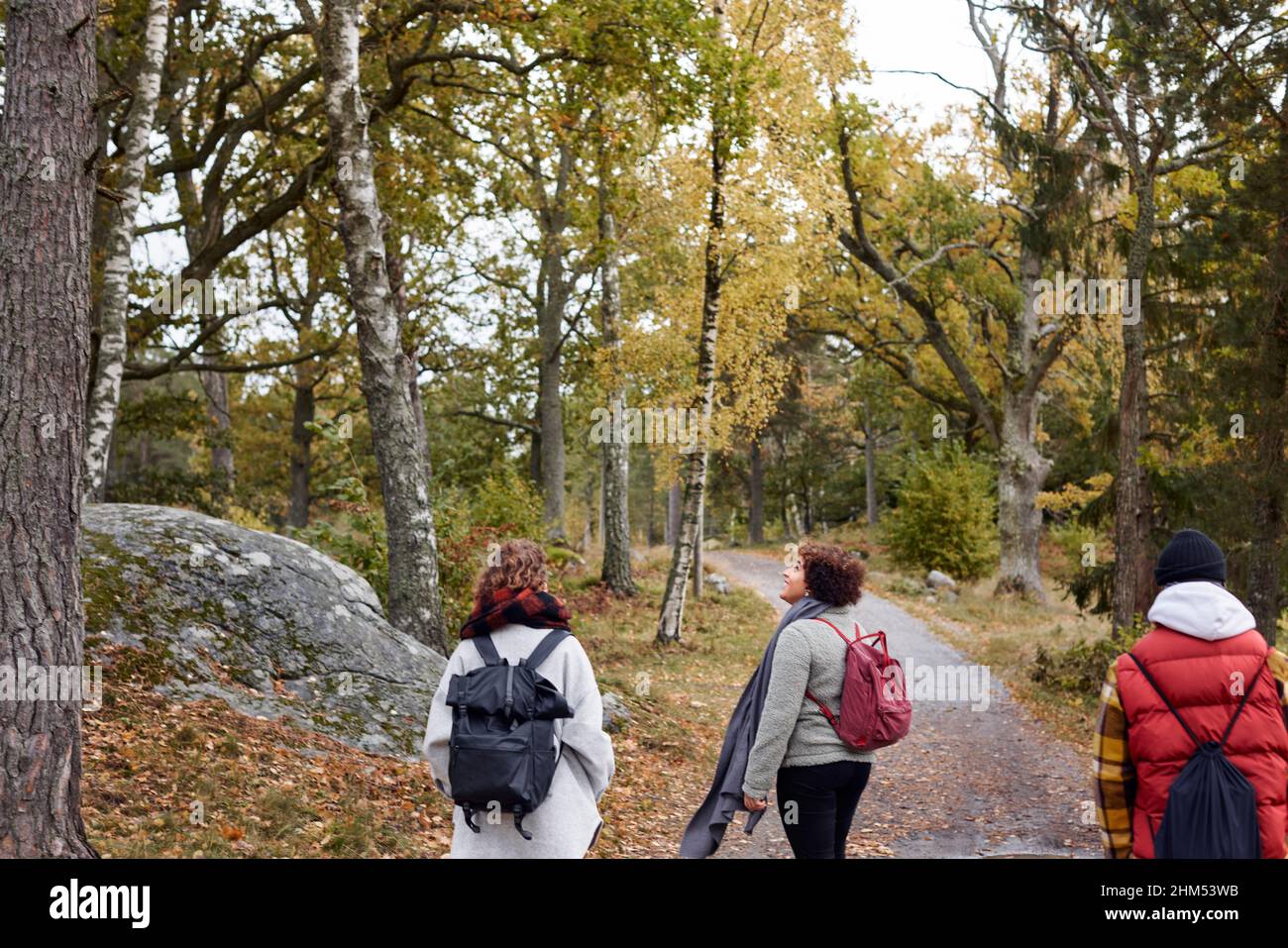 Autumn activities hi-res stock photography and images - Alamy