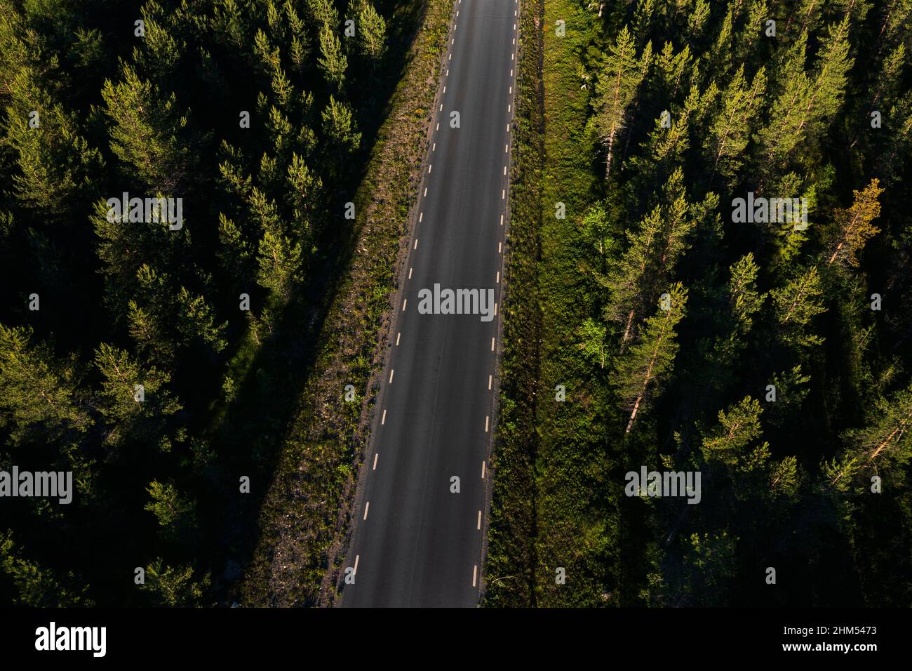 Country road going through forest Stock Photo - Alamy