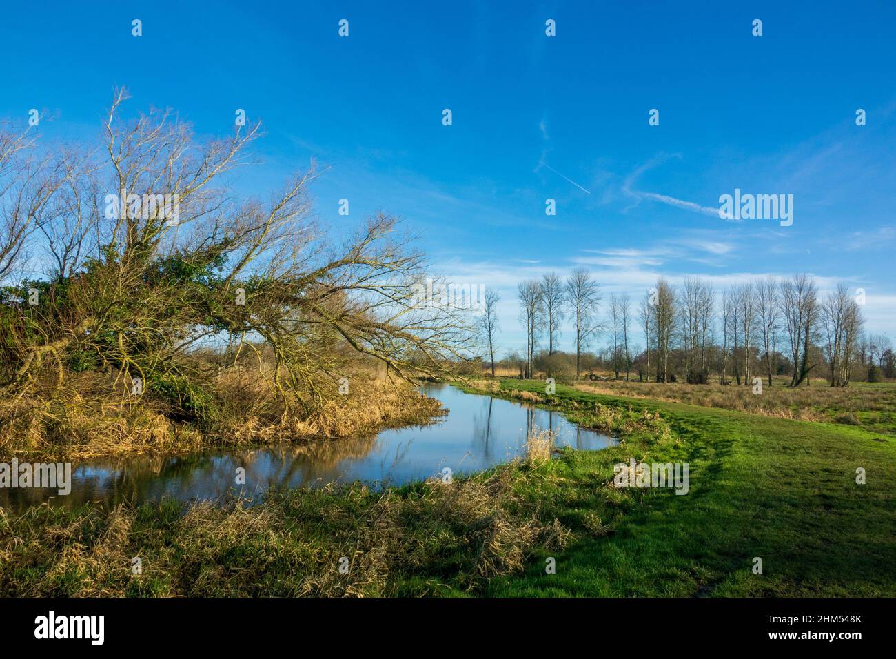 River Bure, Buxton Stock Photo - Alamy