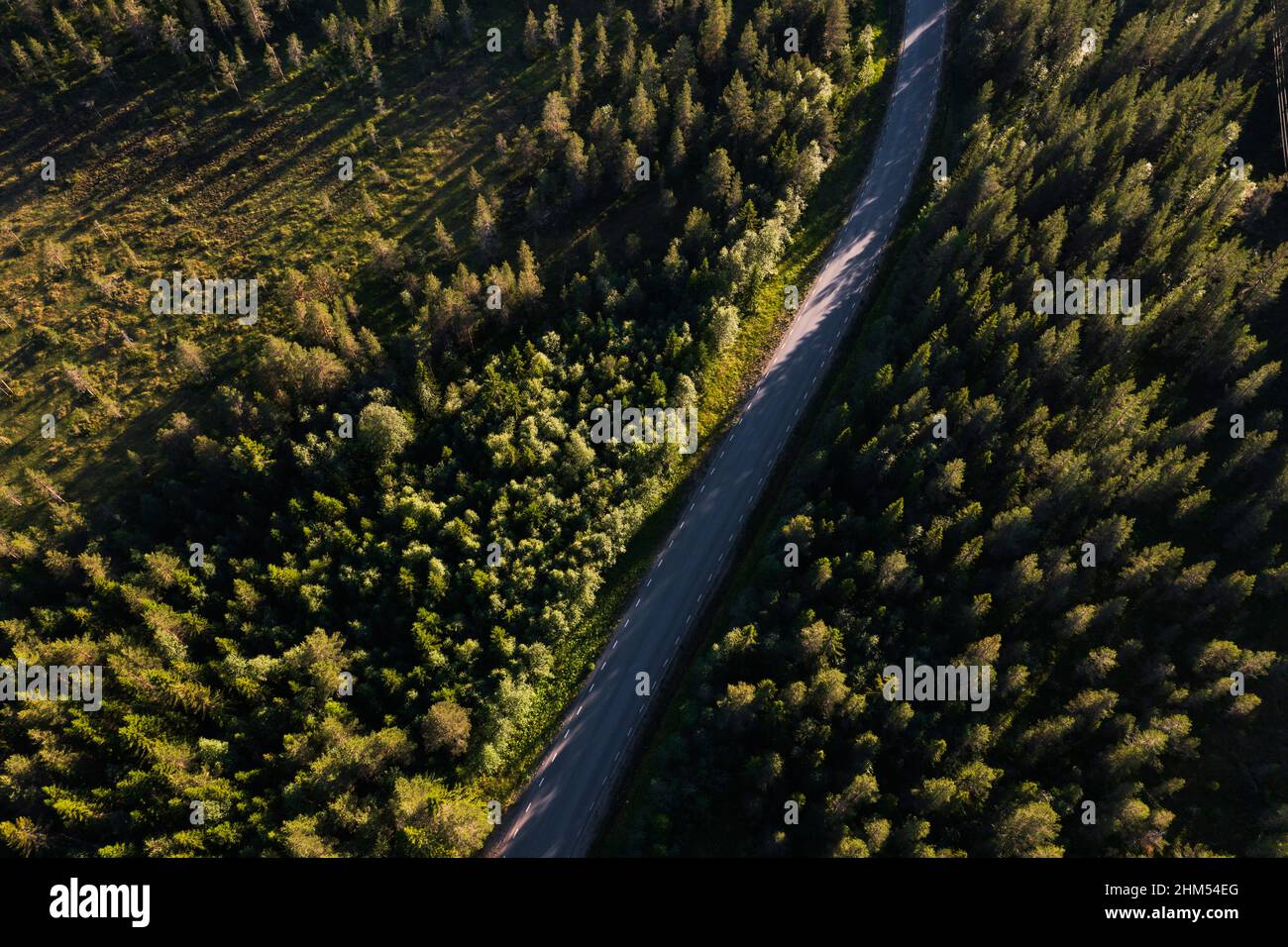 Road through forest full hi-res stock photography and images - Alamy