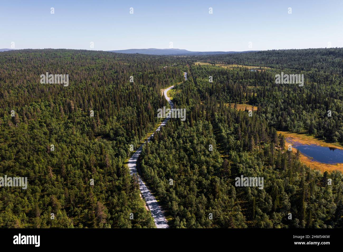 Aerial view coniferous forest through hi-res stock photography and ...