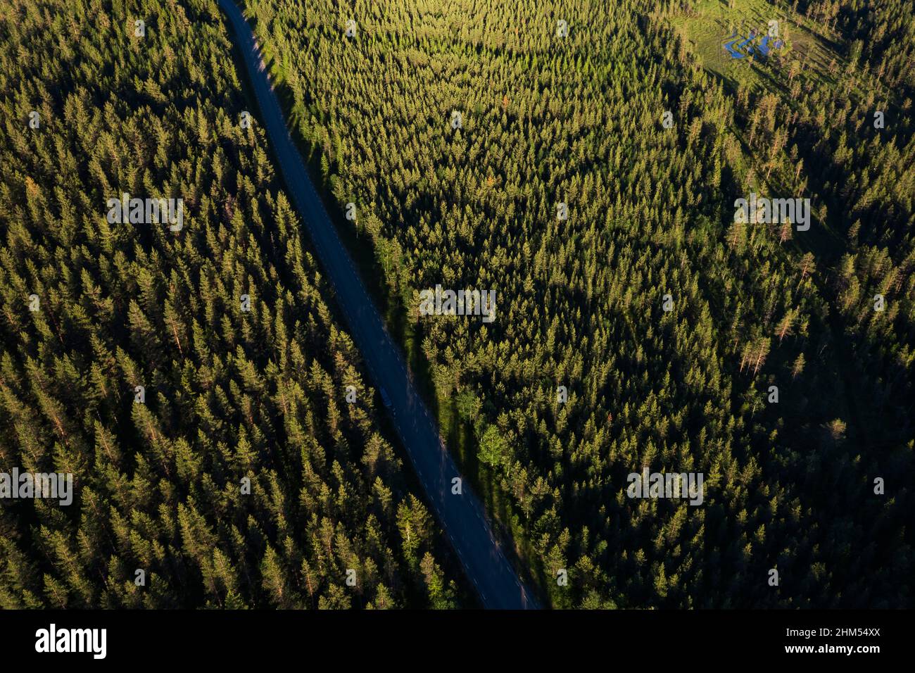 Aerial view coniferous forest through hi-res stock photography and ...