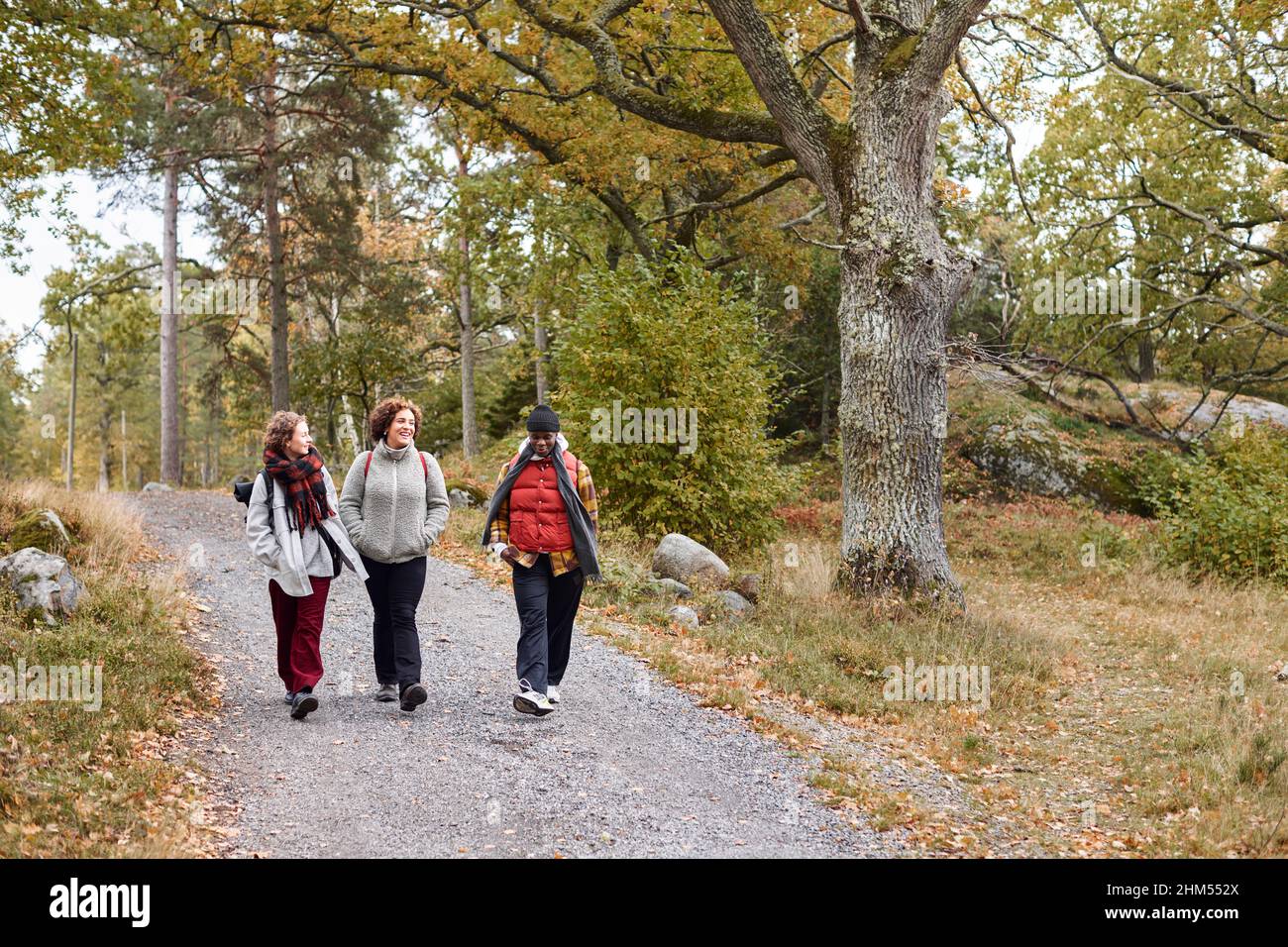 Autumn outdoor activities hi-res stock photography and images - Alamy