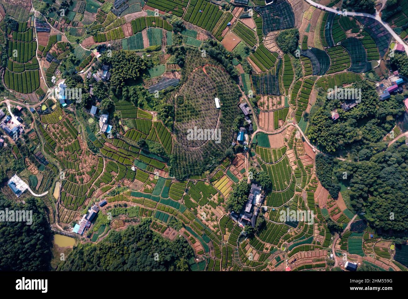 Chongqing countryside - metro LingFengShan wang ginger planting base ...