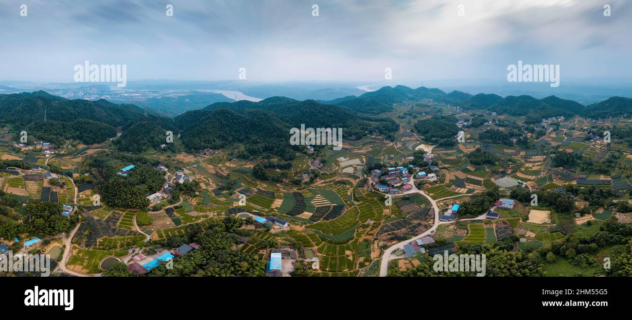 Chongqing rural beautiful scenery - wang ginger production base Stock ...
