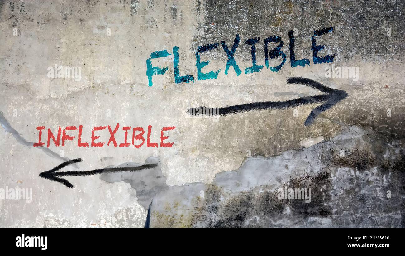 Street Sign the Direction Way to Flexible versus Inflexible Stock Photo ...