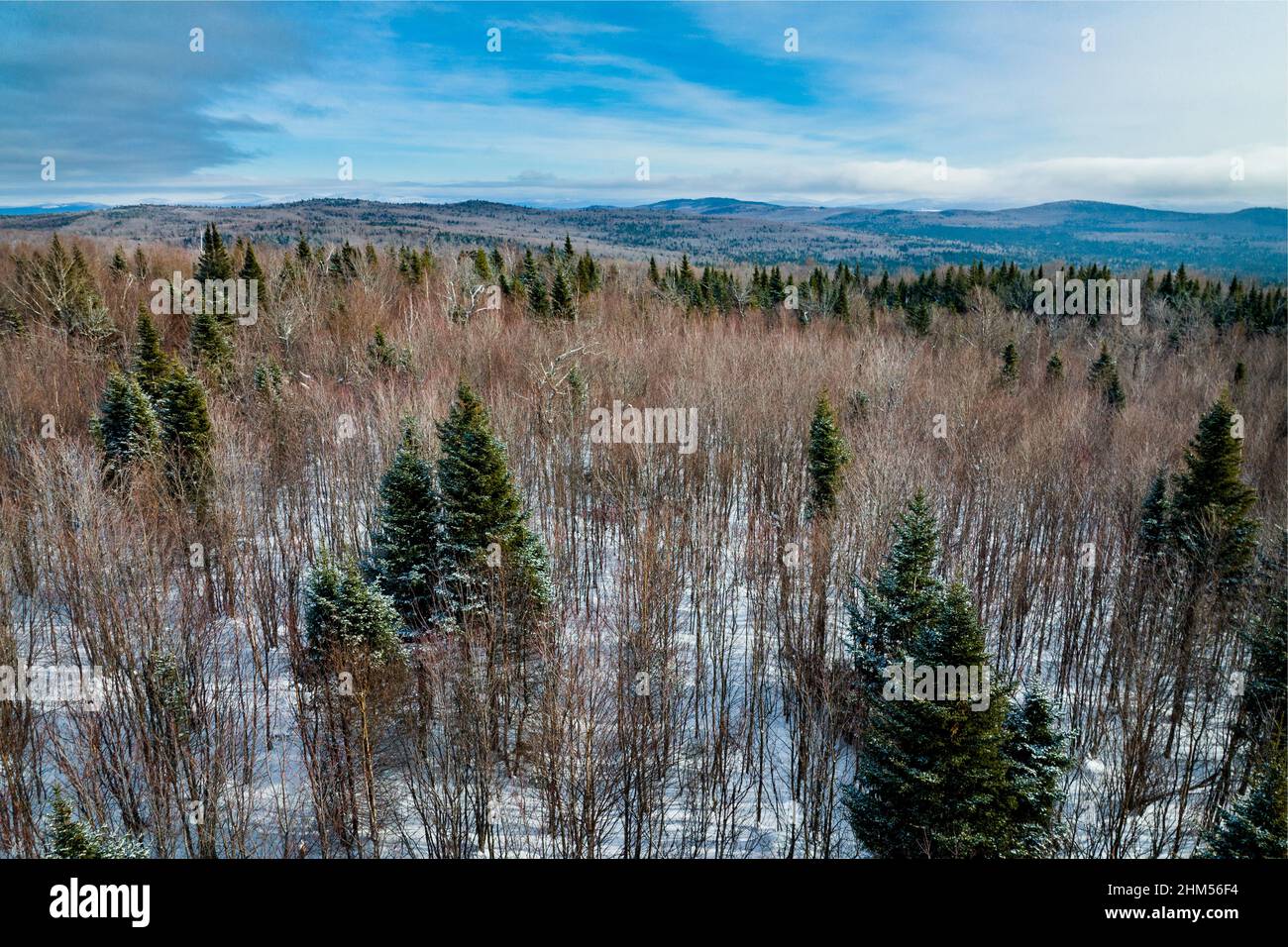 Aerial view of winter forest landscape in Canada Stock Photo - Alamy