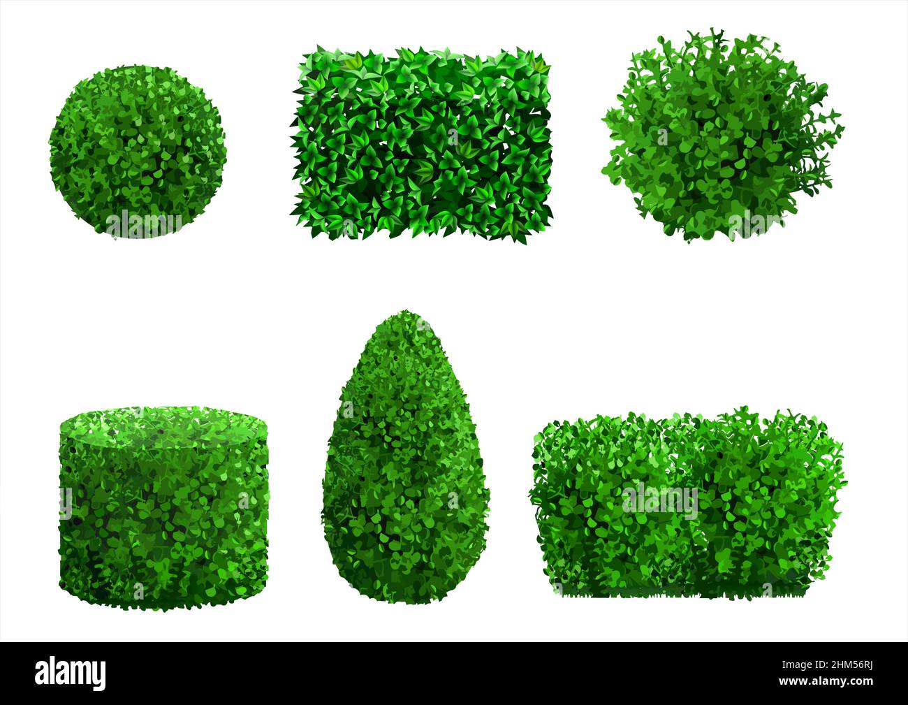 Set of ornamental plants and trees for landscaping. Vector graphics ...