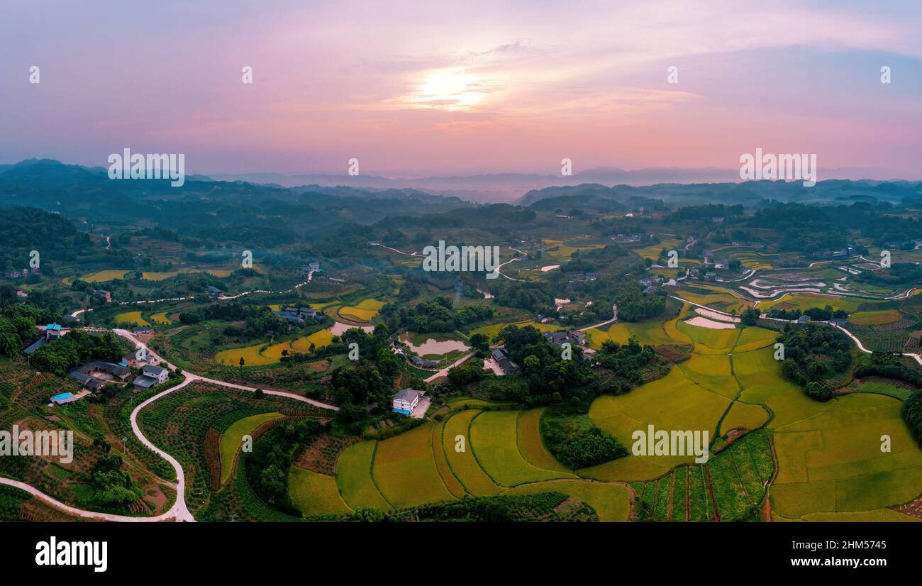 Land land farmers farmers rural areas planting plants hi-res stock ...