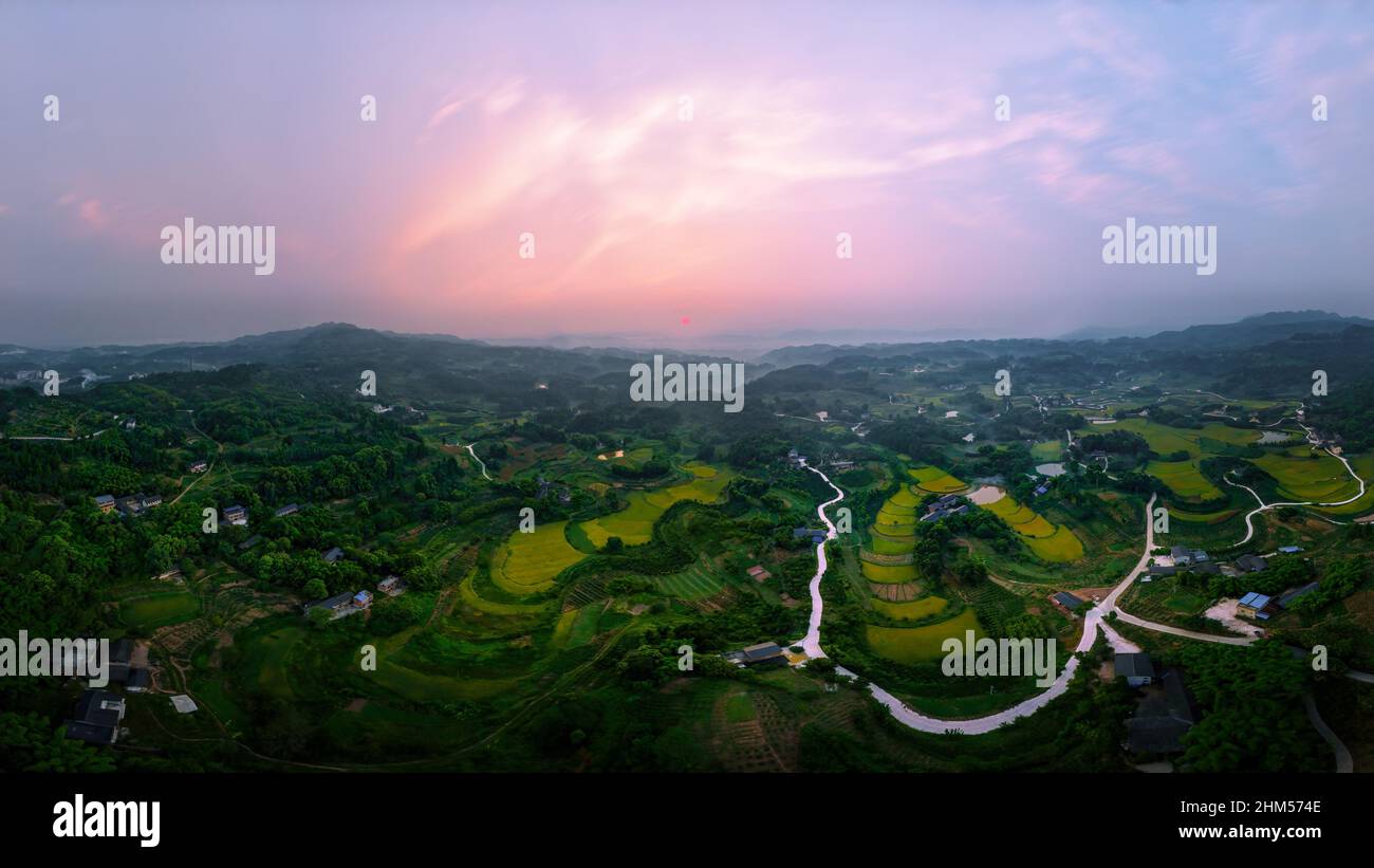 Farmers planting trees hi-res stock photography and images - Alamy