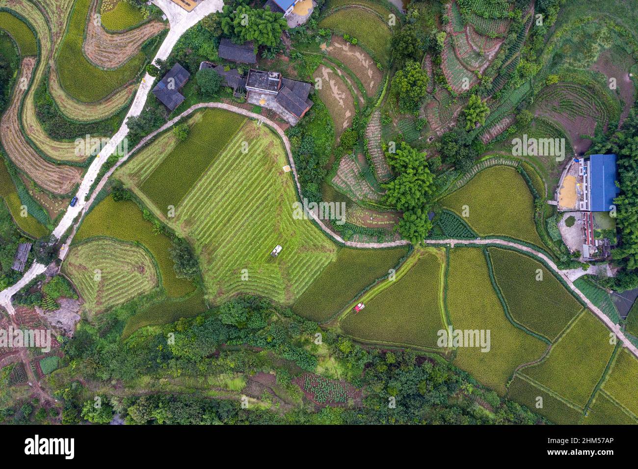 Fields and land land farmers farmers rural areas planting plants hi-res ...