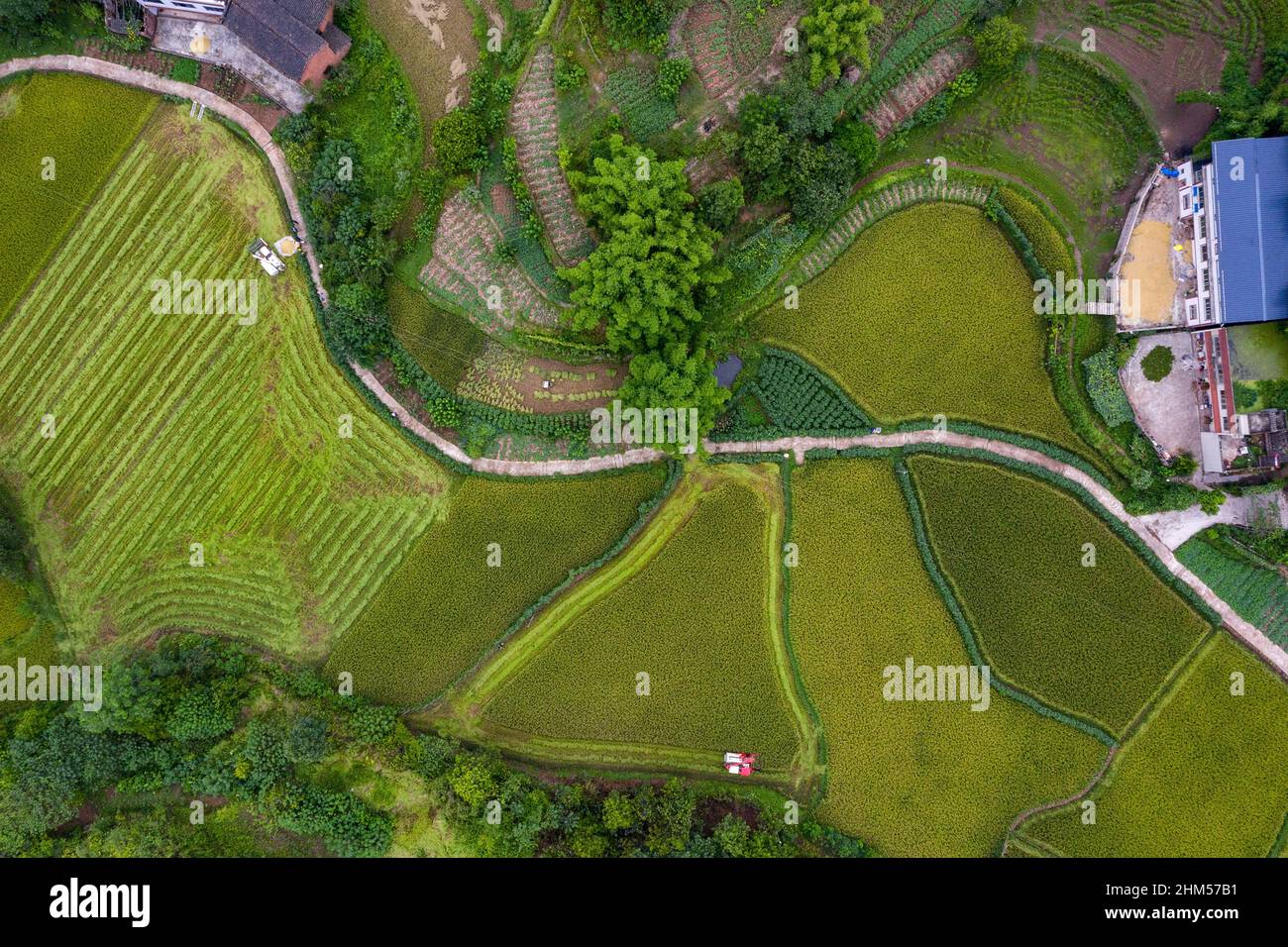Fields and land land farmers farmers rural areas planting plants hi-res ...