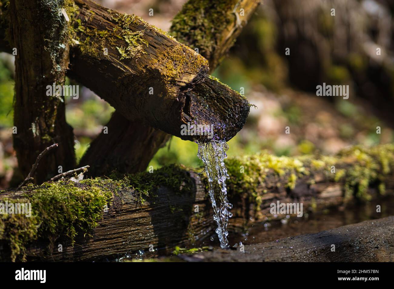 beautiful wooden water fountain in the forest Stock Photo - Alamy