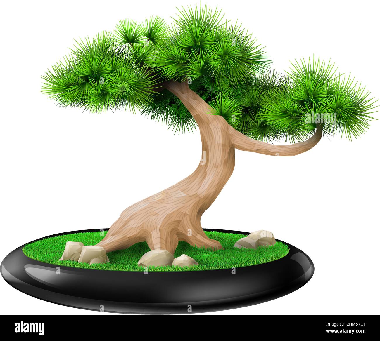 Bark pine tree eco Stock Vector Images - Alamy