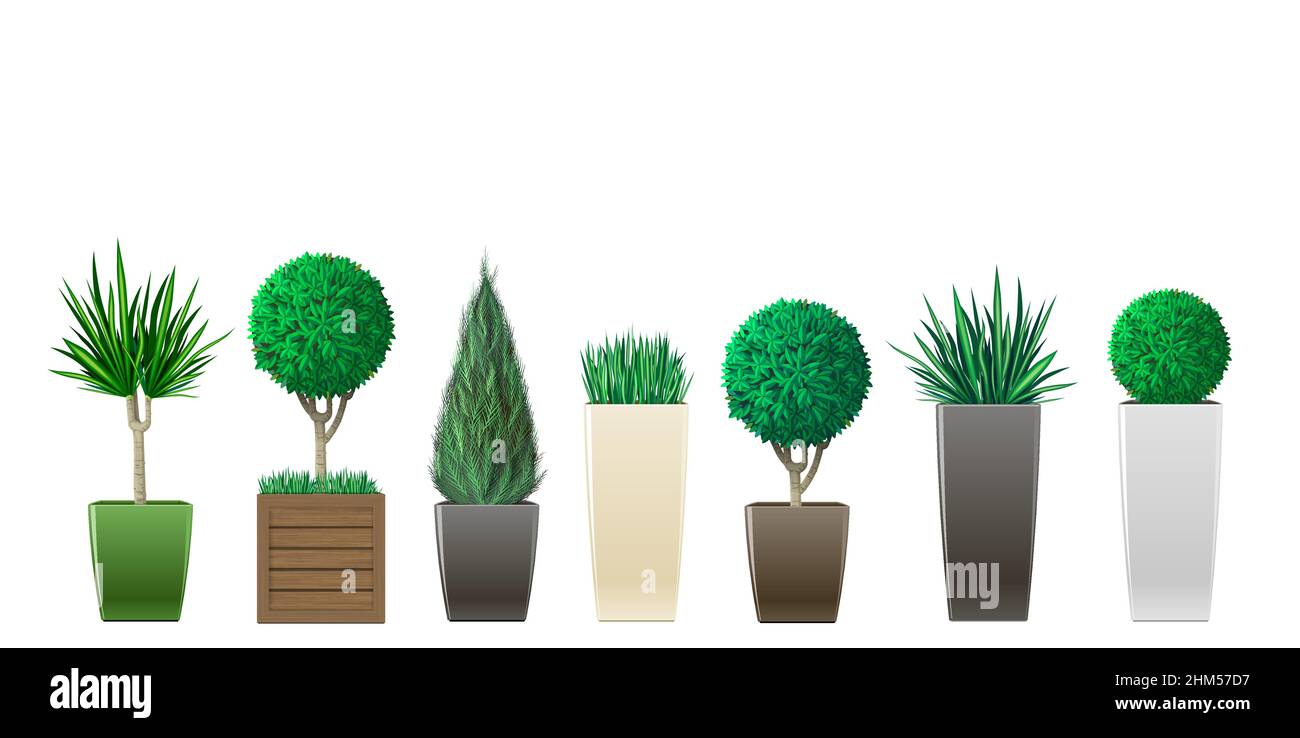 Plastic boxwood Stock Vector Images - Alamy