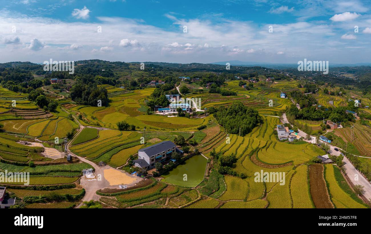 Fields and land land farmers farmers rural areas planting plants hi-res ...