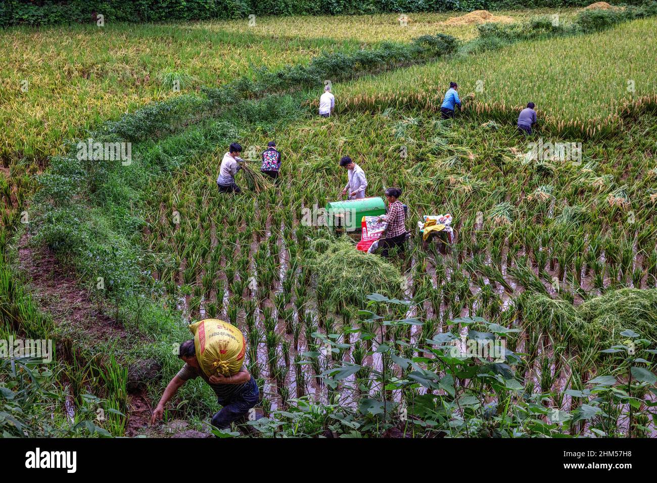 Land land farmers farmers rural areas planting plants hi-res stock ...