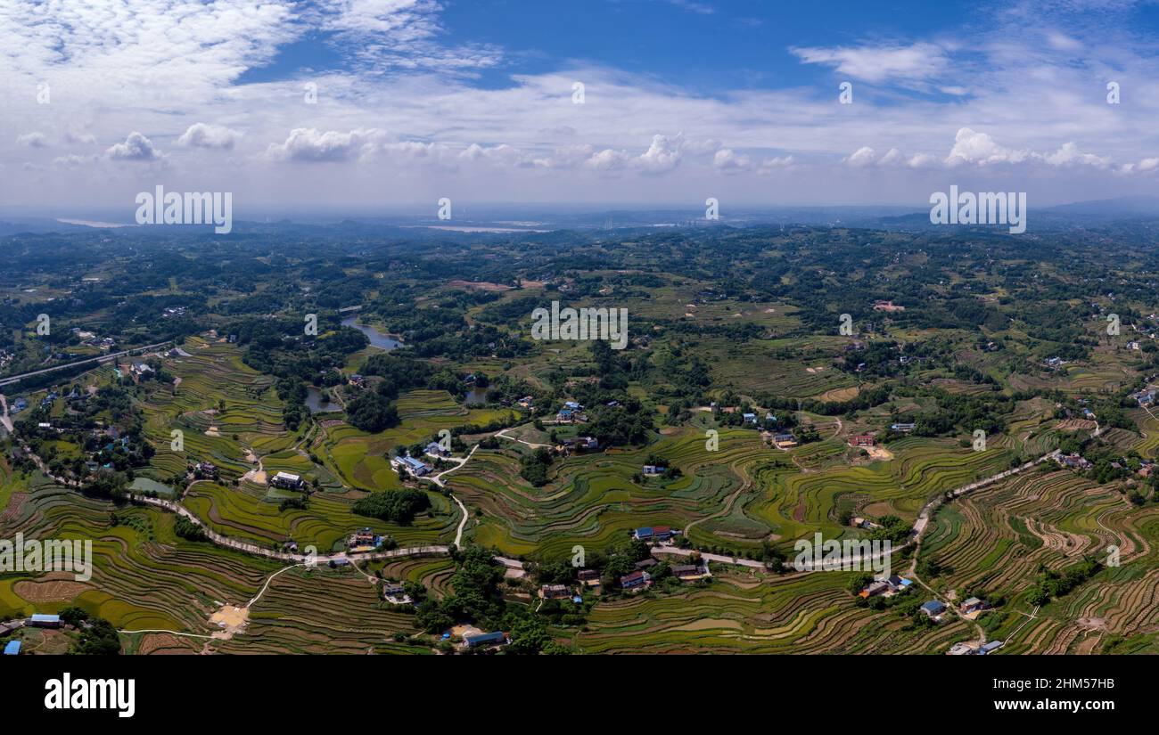 Fields and land land farmers farmers rural areas planting plants hi-res ...