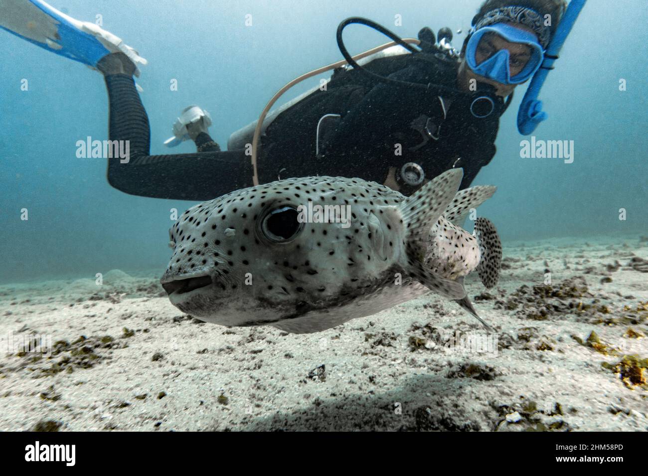 Posing with fish hi-res stock photography and images - Alamy