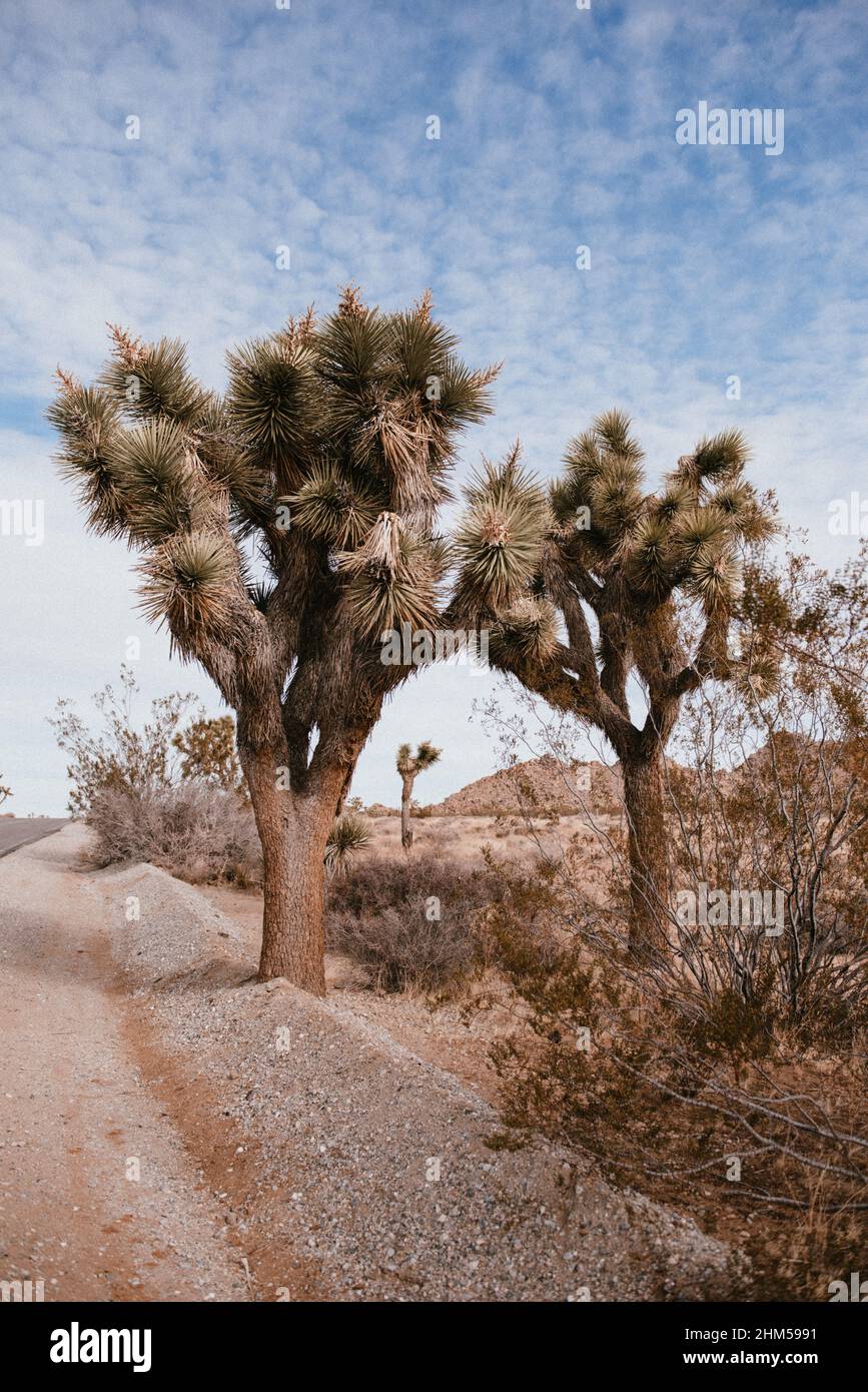 California dessert hi-res stock photography and images - Alamy