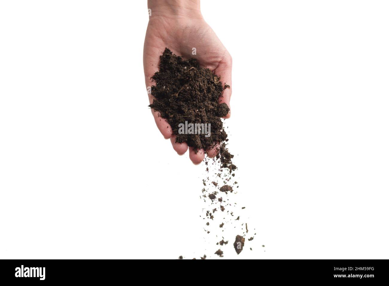 Brown soil in woman hands isolated on white background. The soil falls ...