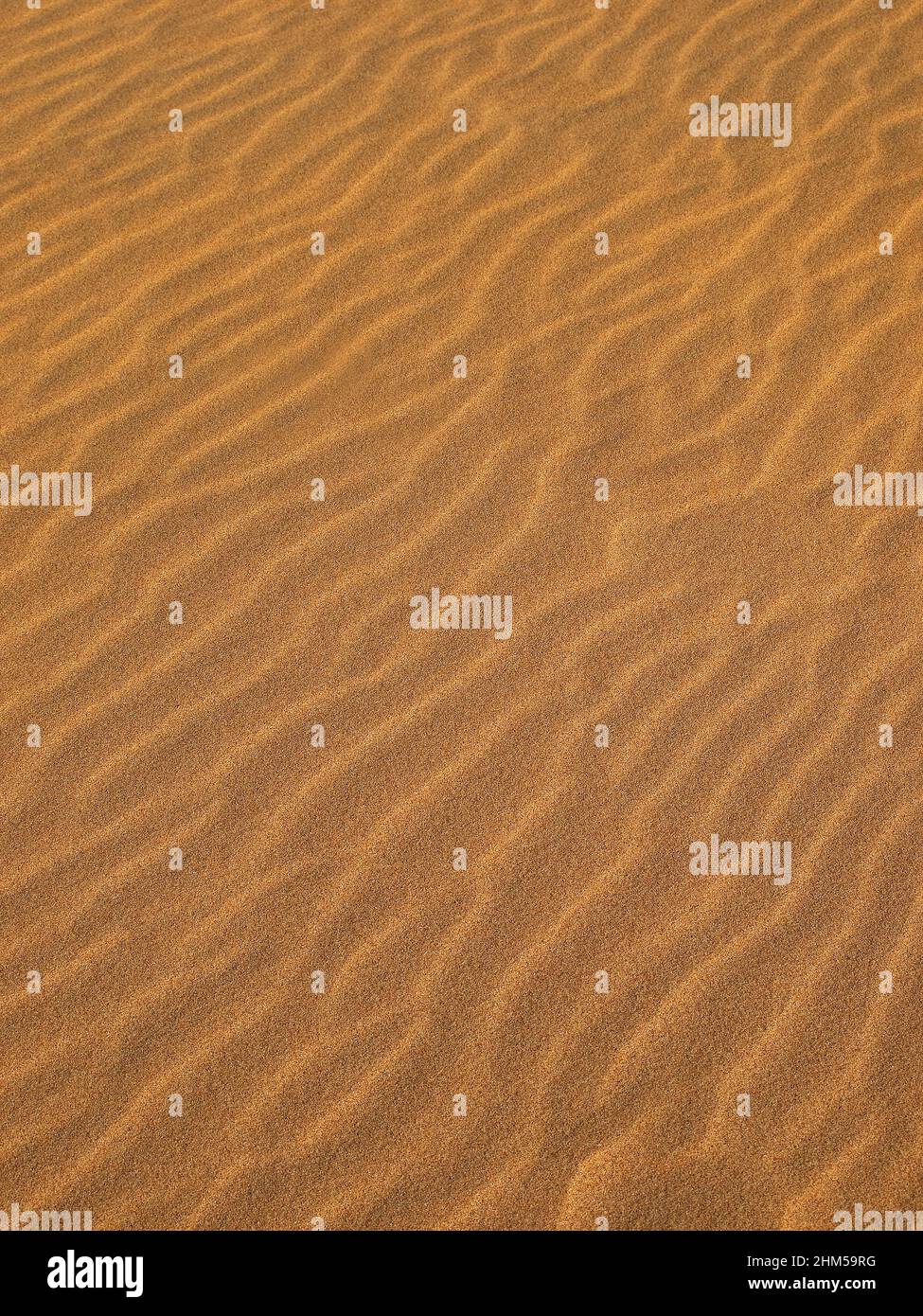 Windswept Sand Texture Detail on a Beach Stock Photo - Alamy