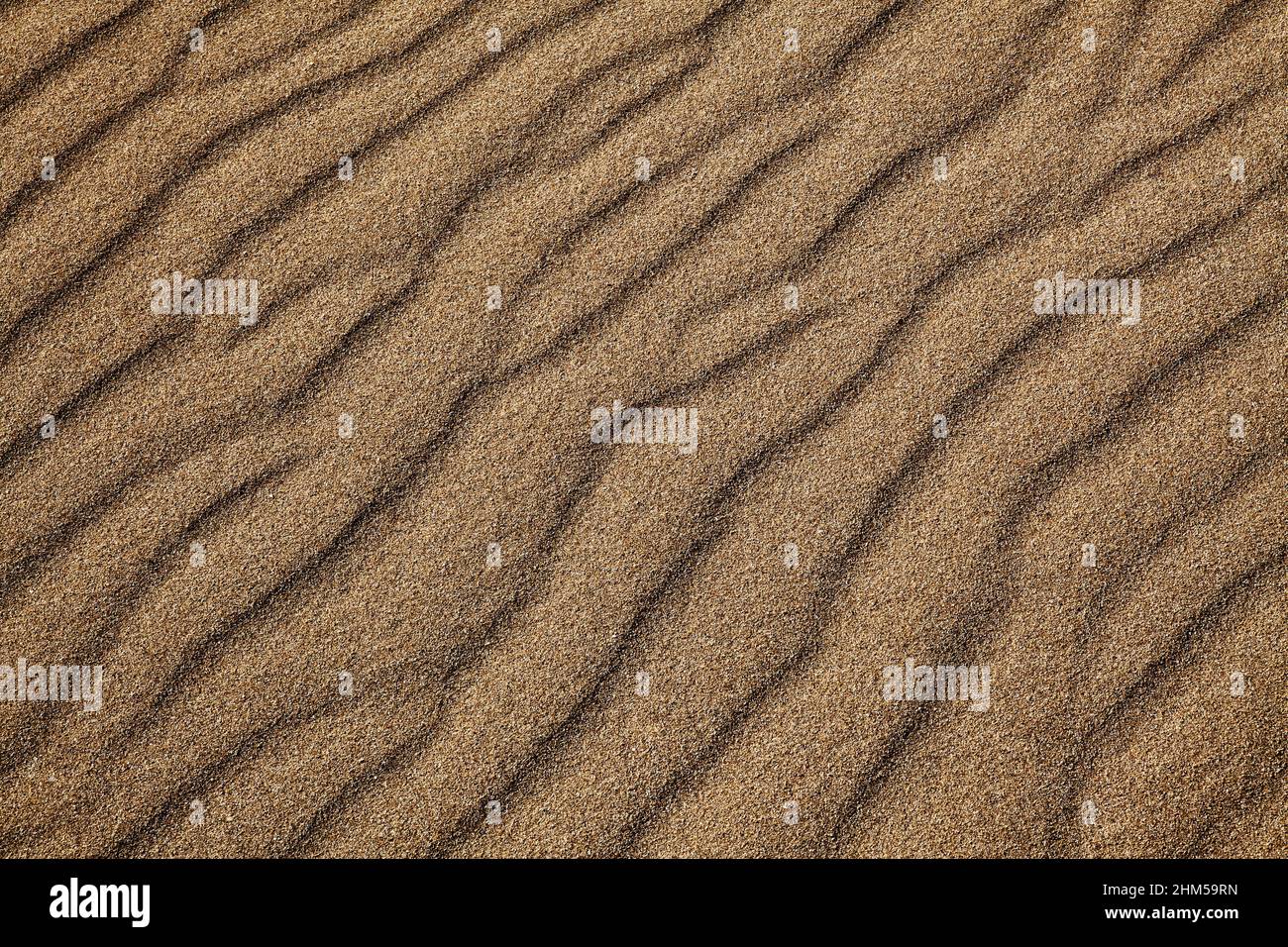 Detail of a beach hi-res stock photography and images - Alamy