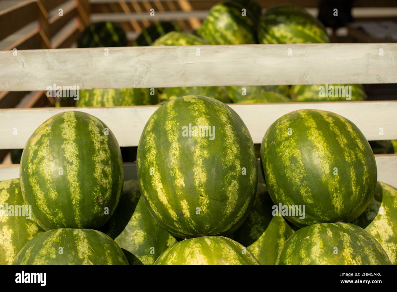 Watermelons on the counter. Delicious berries Stock Photo - Alamy