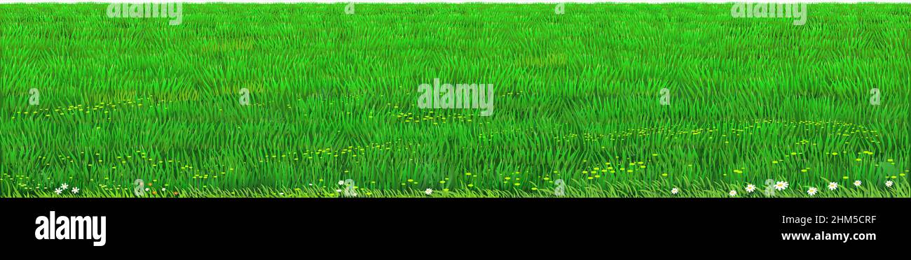 Green grass plants lawn 3d Stock Vector Images - Alamy
