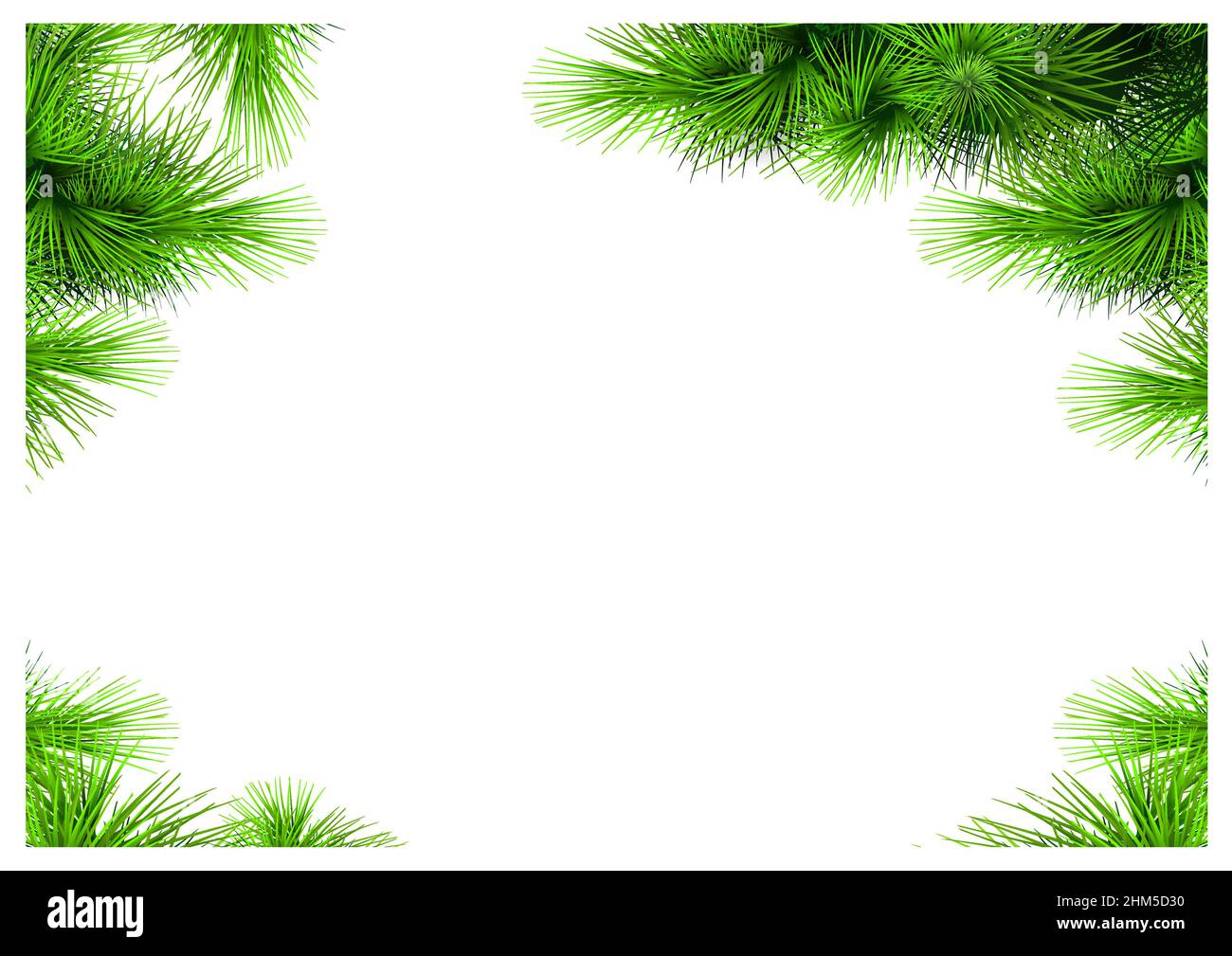Set of corners of pine needles patterns Stock Vector Image & Art - Alamy