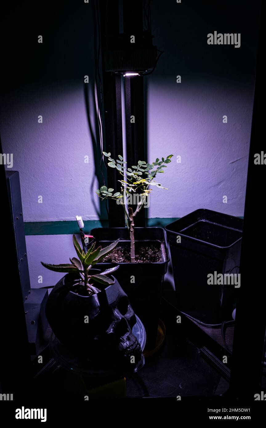 Non computerized hi-res stock photography and images - Alamy