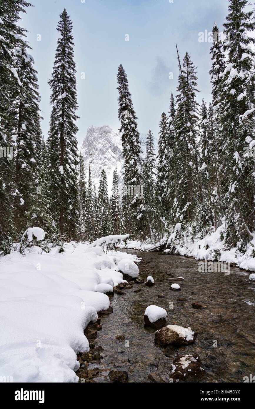Small stream flowing through hi-res stock photography and images - Alamy