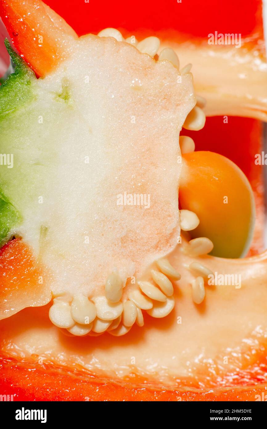 Red sweet pepper super macro. View inside. Bell pepper seeds close-up ...