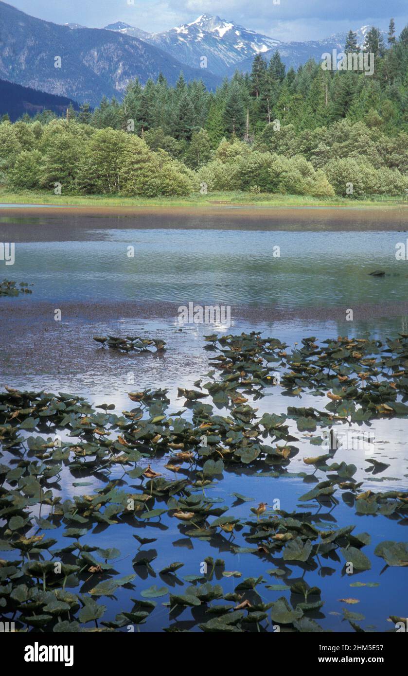 Canada canadian landscape hi-res stock photography and images - Alamy