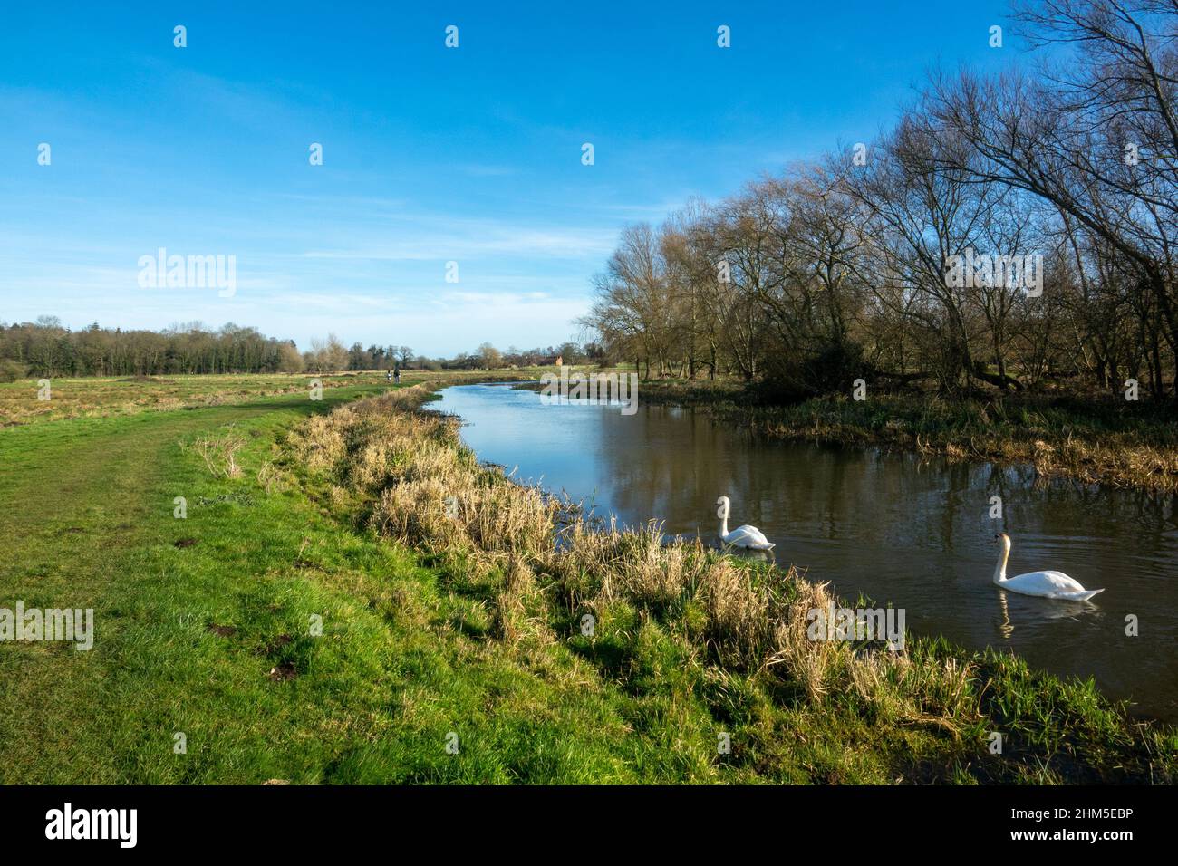 River bure buxton hi-res stock photography and images - Alamy