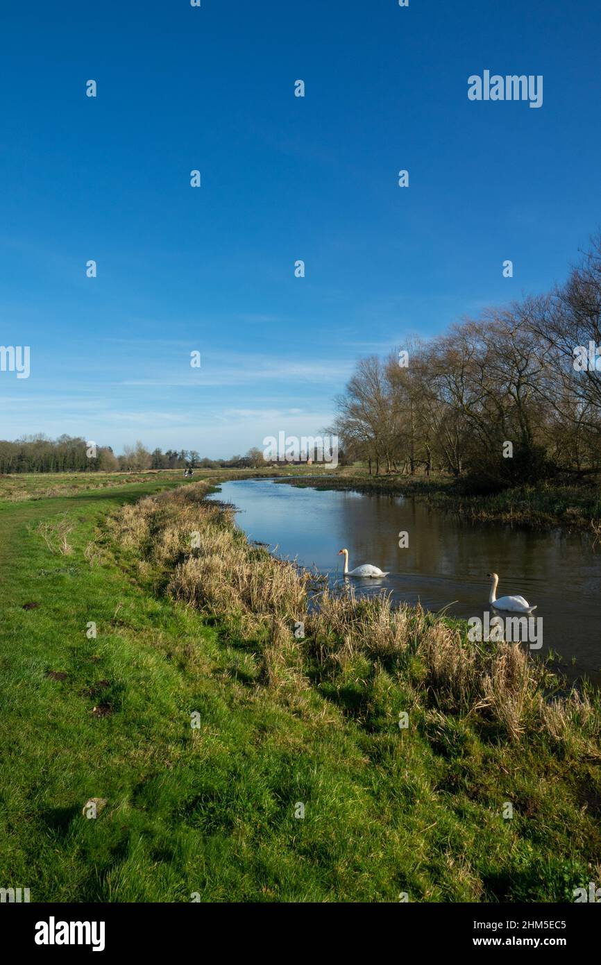 River bure buxton hi-res stock photography and images - Alamy
