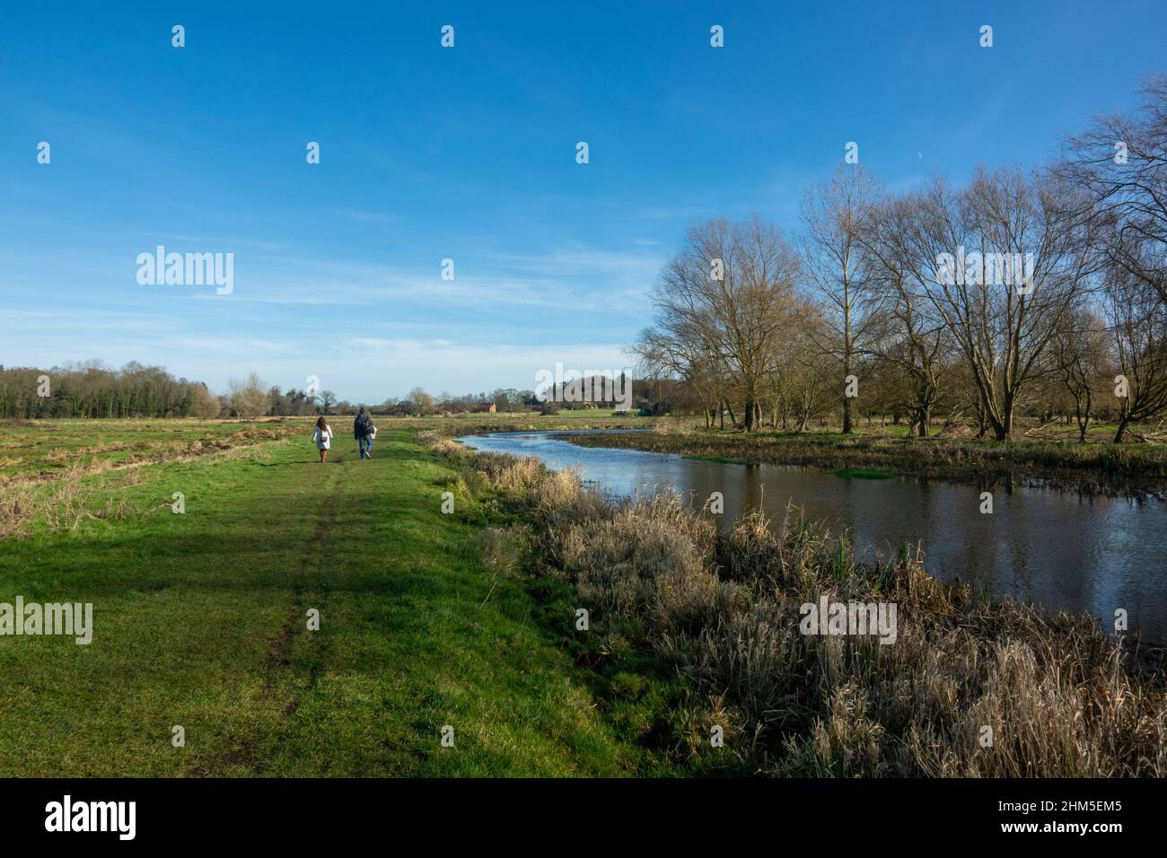River Bure, Buxton, Lammas Stock Photo - Alamy