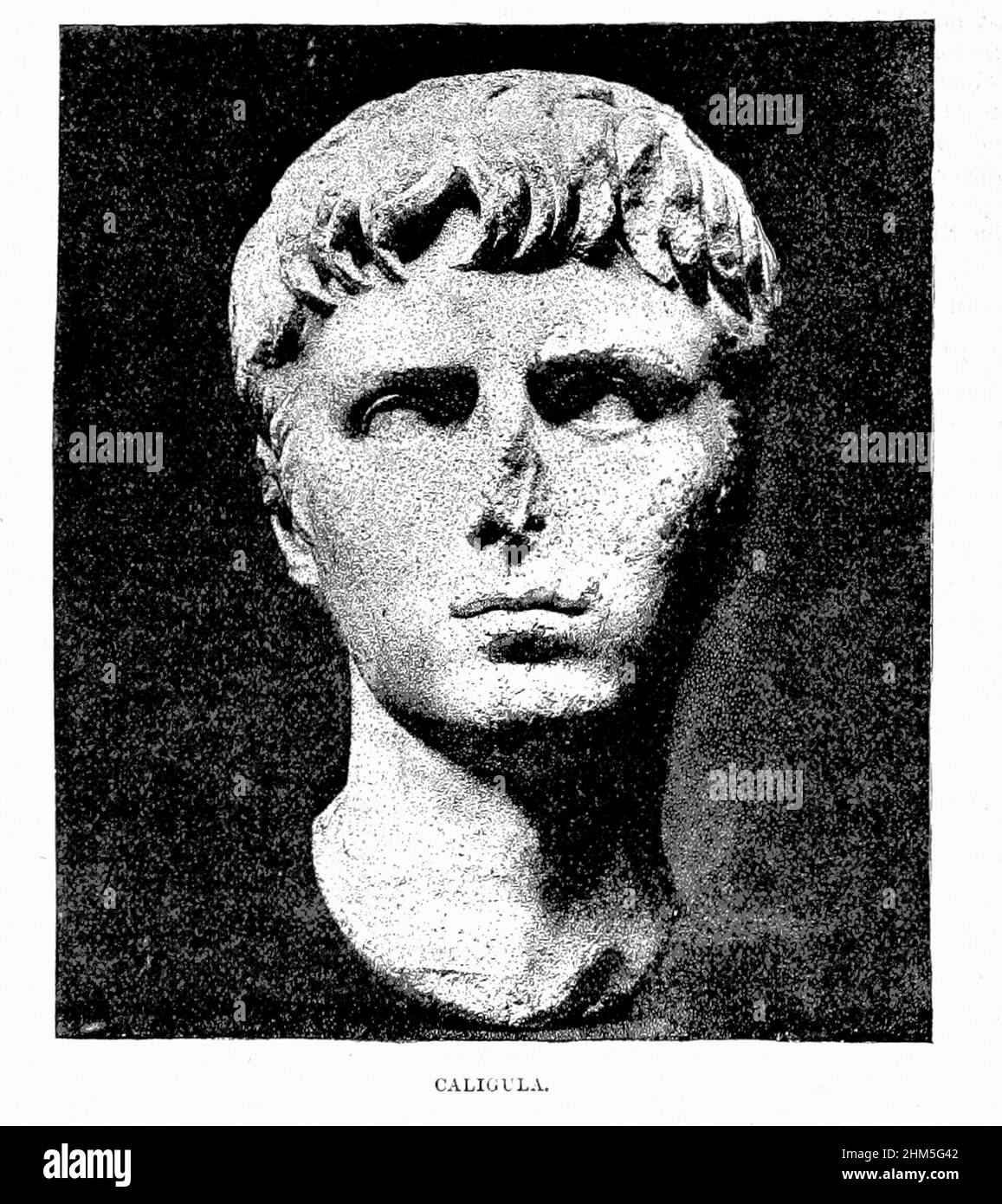 Portrait of Emperor Caligula - British engraving XIX th Century Stock ...