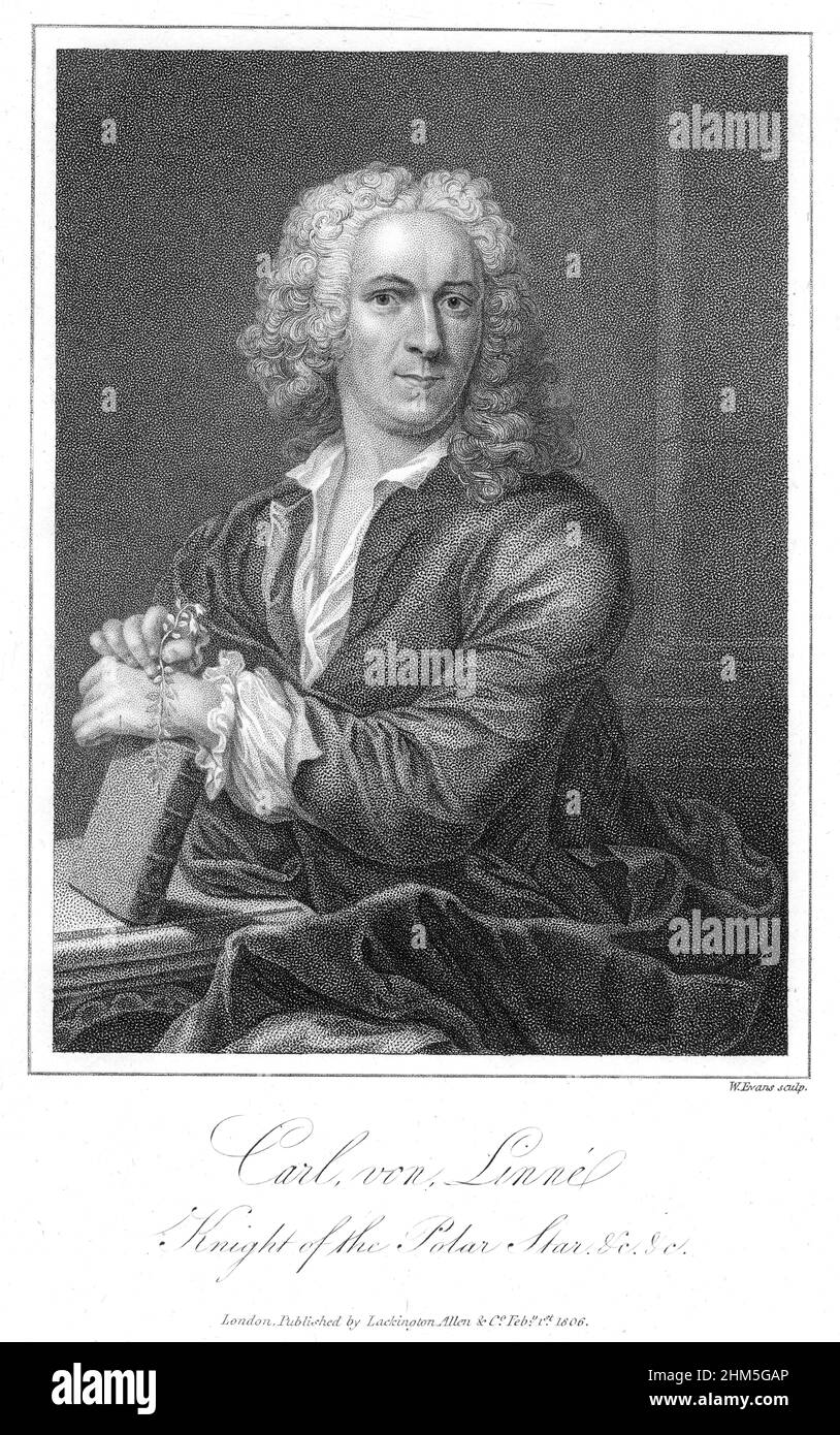 Linnaeus (Carl von Linne - 1707-1778). Swedish naturalist Stock Photo ...