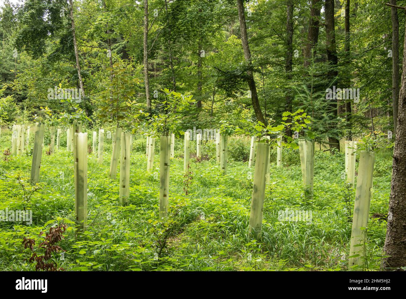 Plastic cylinders hi-res stock photography and images - Alamy