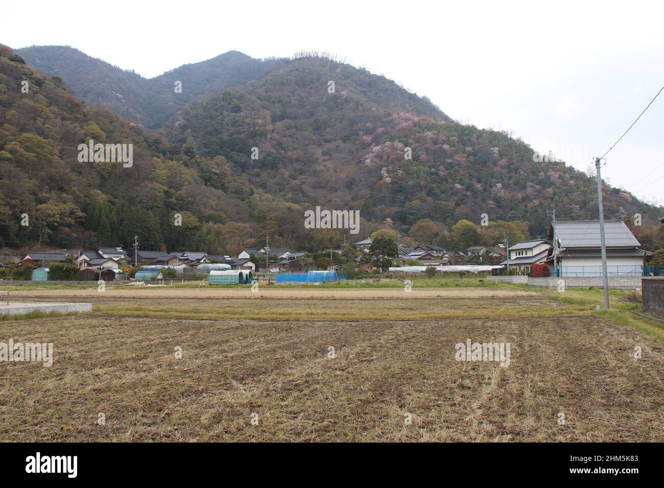 Japon paysage japonais hi-res stock photography and images - Alamy