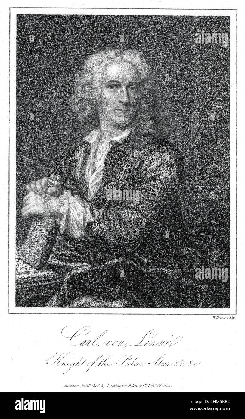 Portrait of Linnaeus (Carl von Linne - 1707-1778) - Historical ...