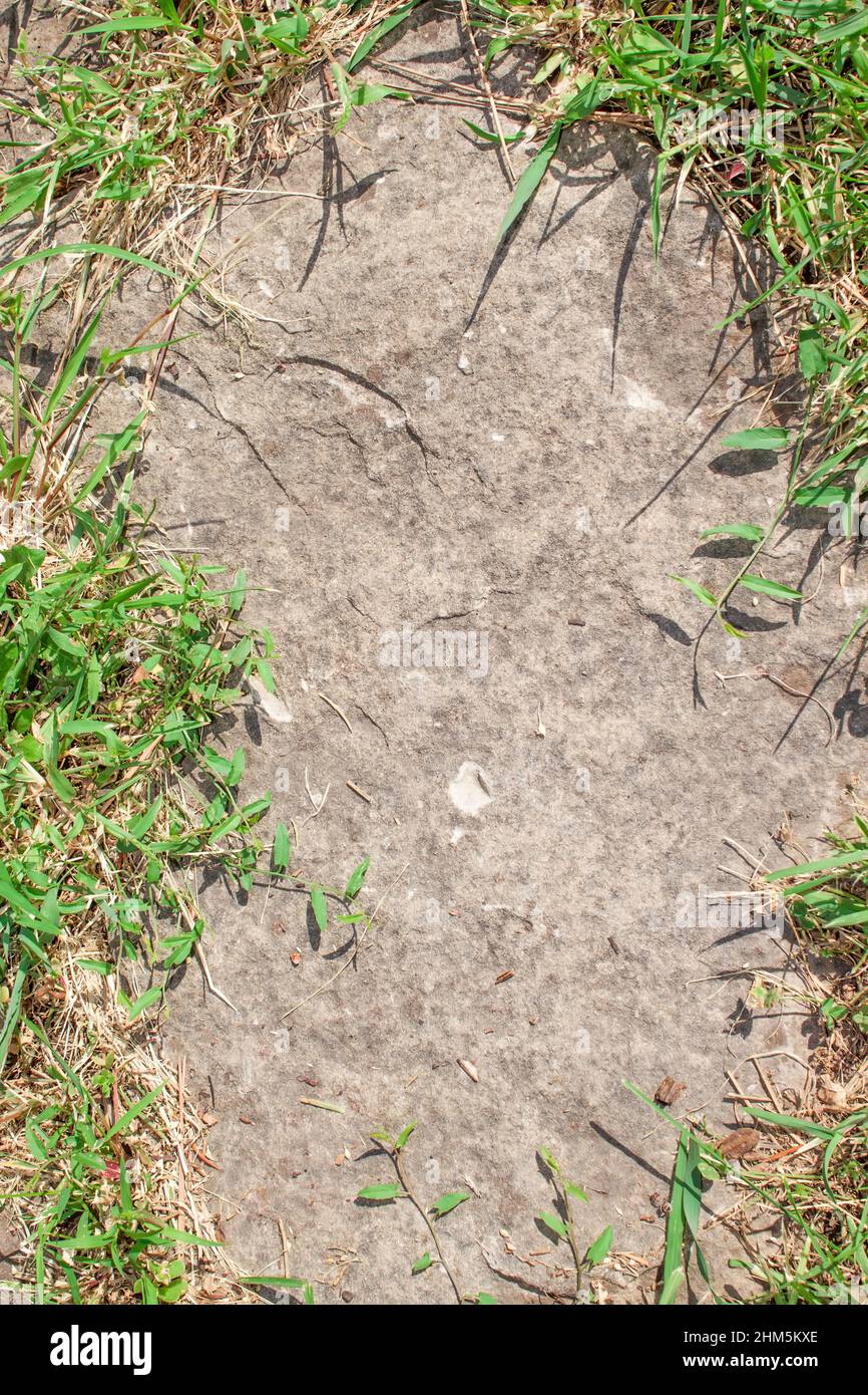 A closeup view of green lawn grass and straw framing stone pavement ...
