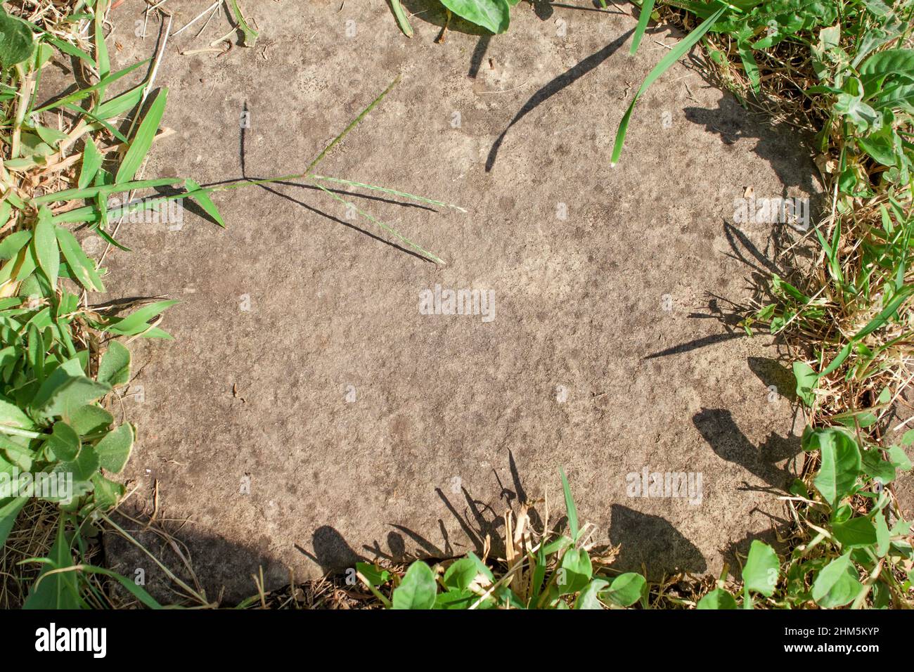 A closeup view of green lawn grass and straw framing grey stone ...