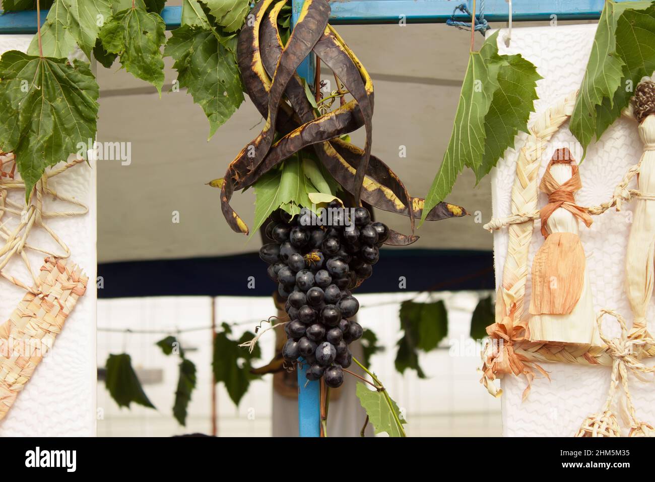 Grapes decorated hi-res stock photography and images - Alamy