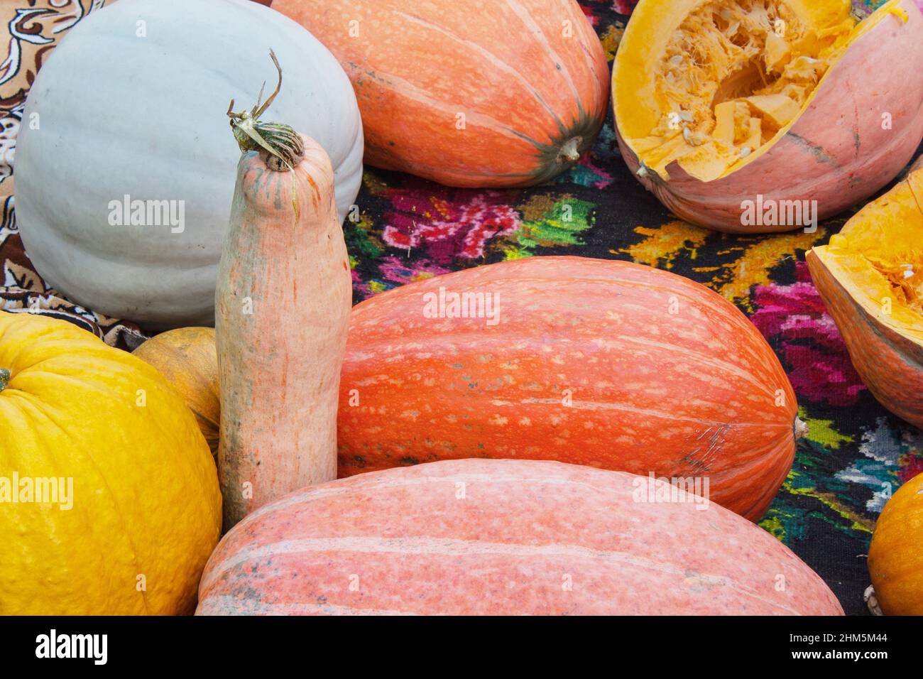 Different size pumpkins hi-res stock photography and images - Alamy