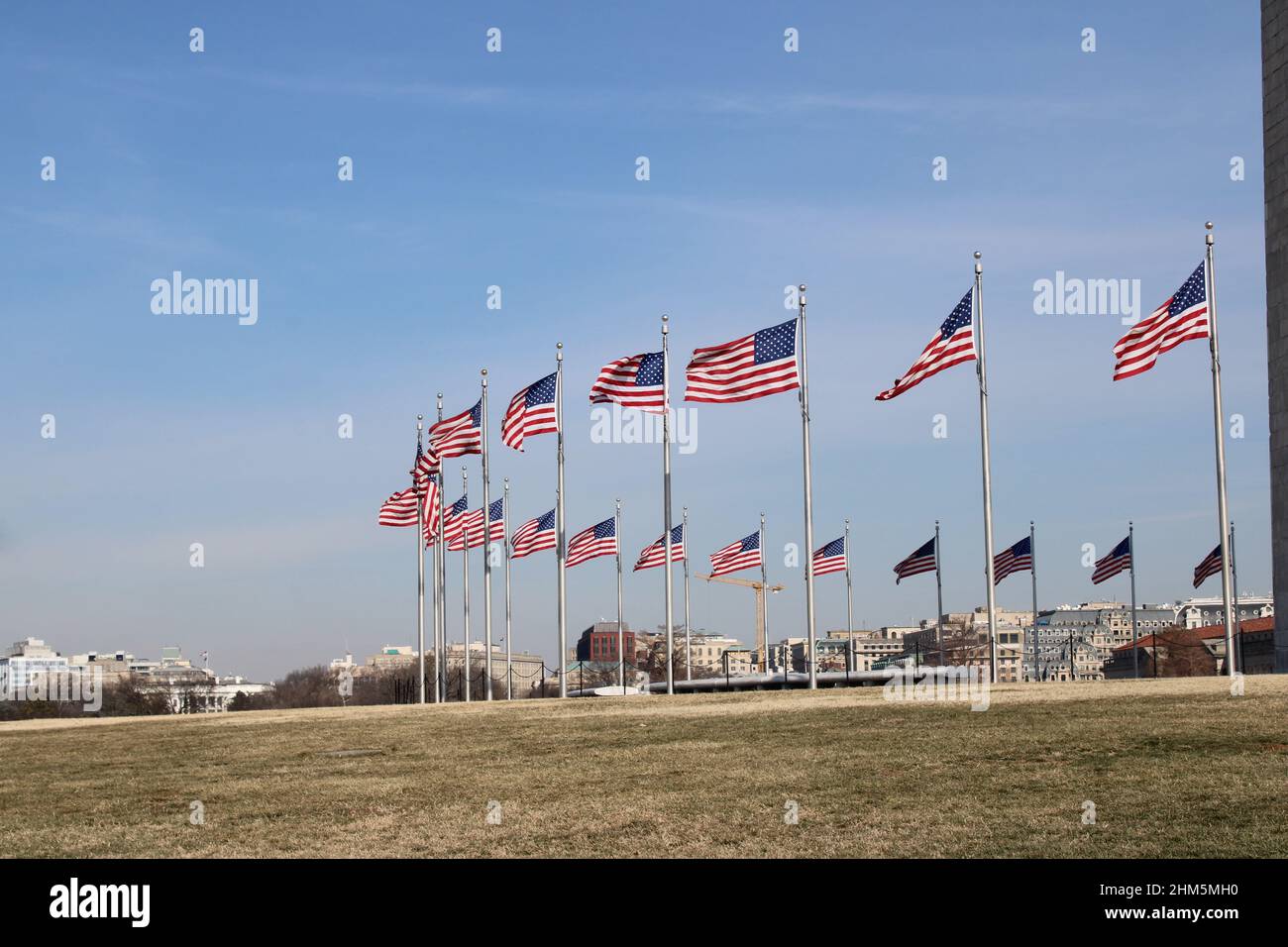 American flags surrounding the Washington Monument, Washington, DC, USA ...